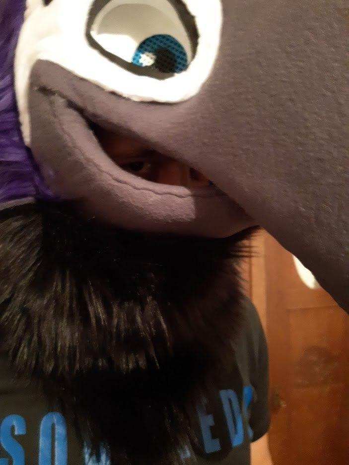 Fursed_eyes | Scrolller