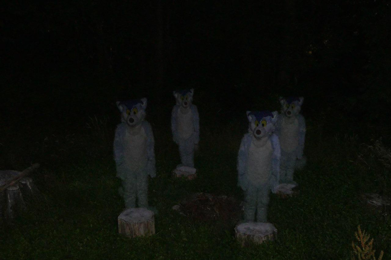 fursed_gang | Scrolller