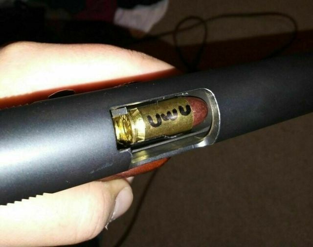 Fursed_Reload | Scrolller