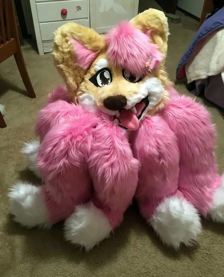 Fursed_tails | Scrolller