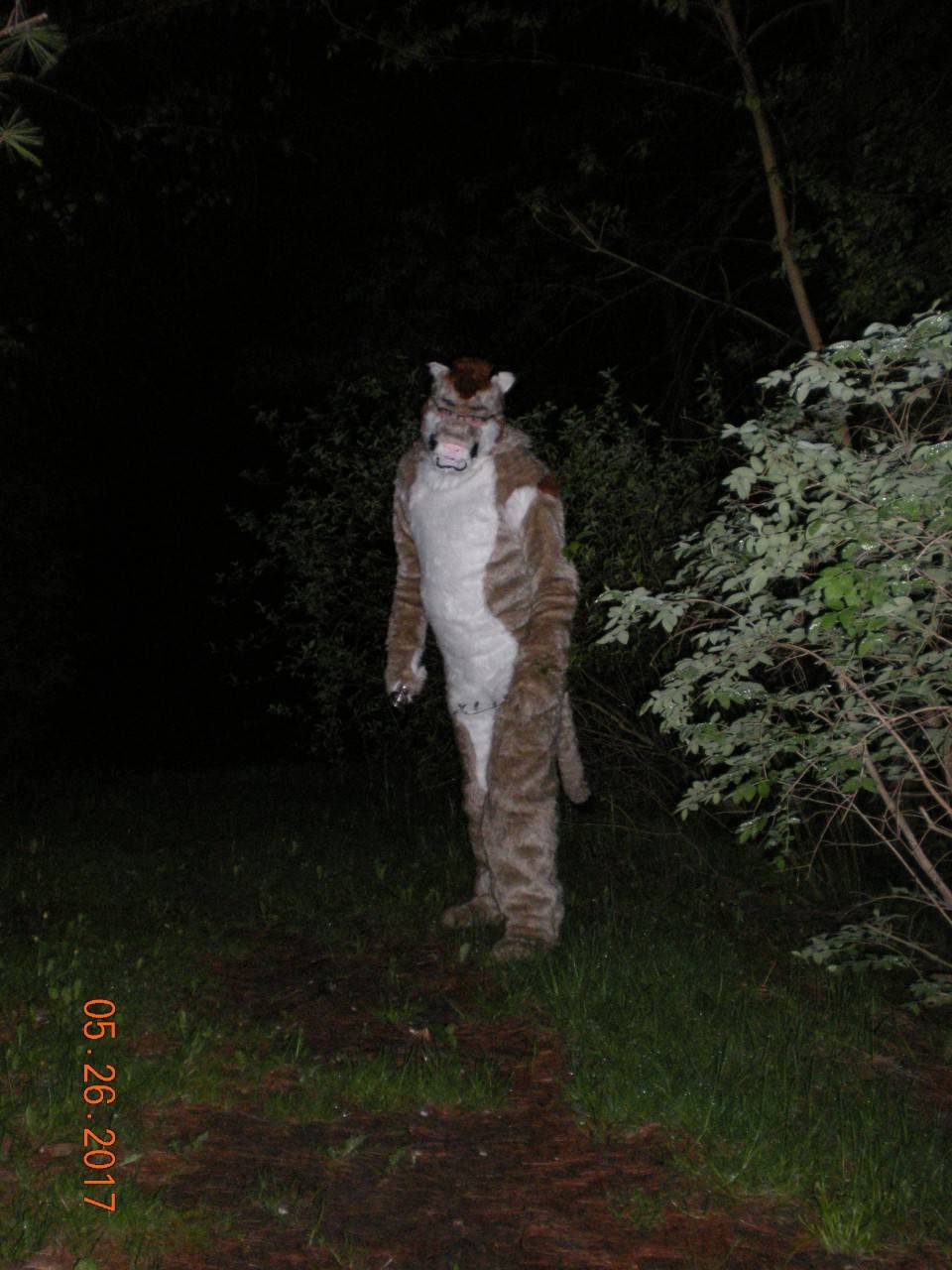 Fursed_Woods | Scrolller