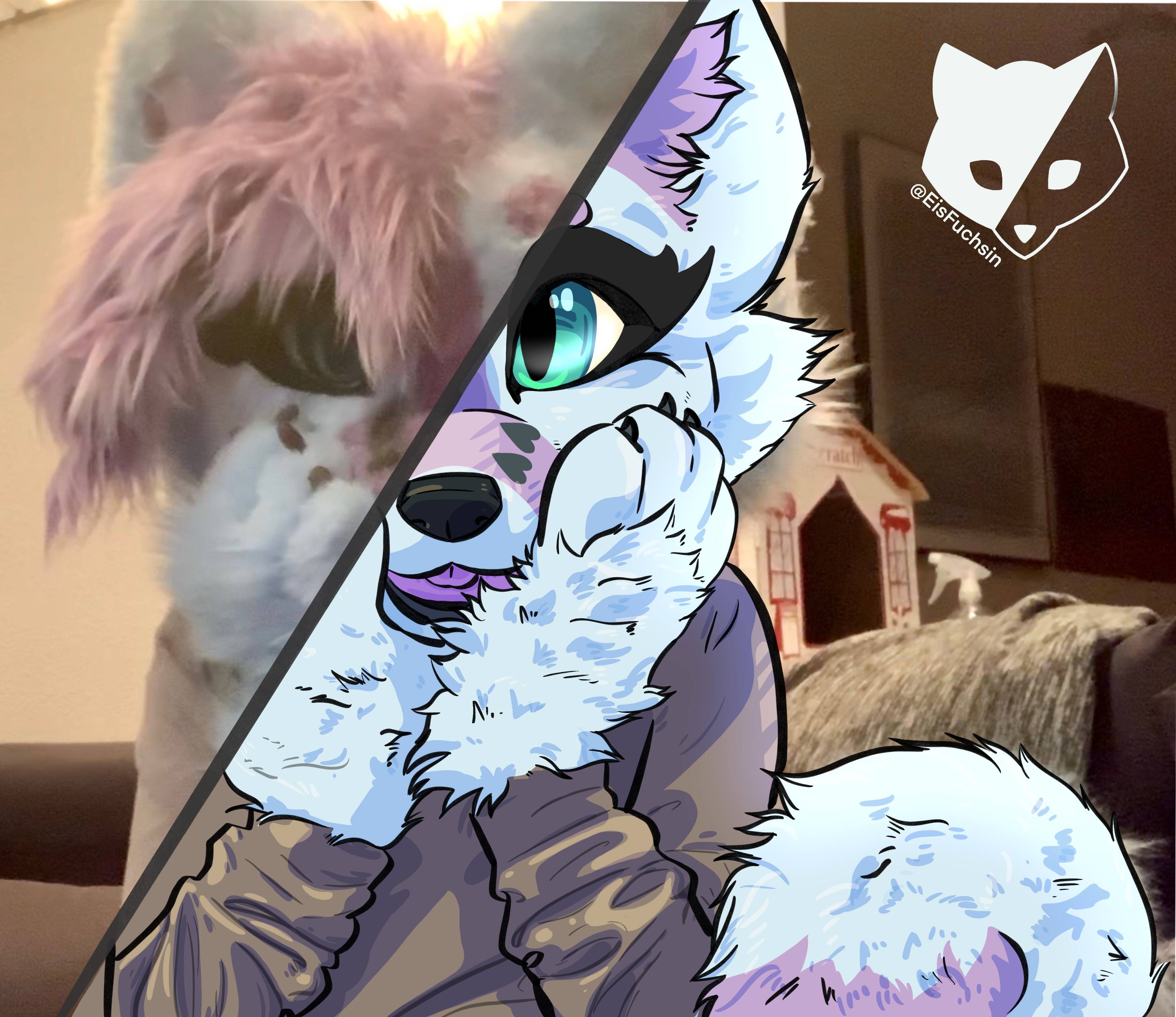 Fursuit drawover! | Scrolller