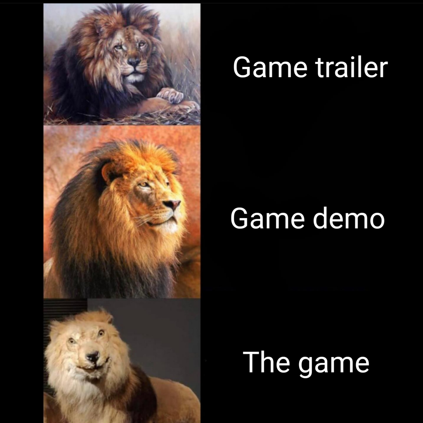 Games In A Nutshell Scrolller