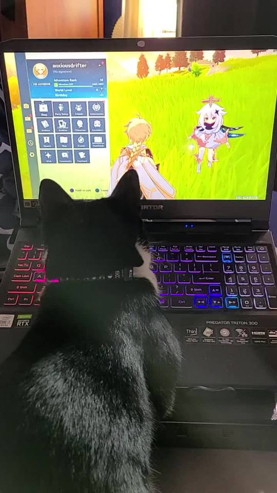 Gaming buddy | Scrolller