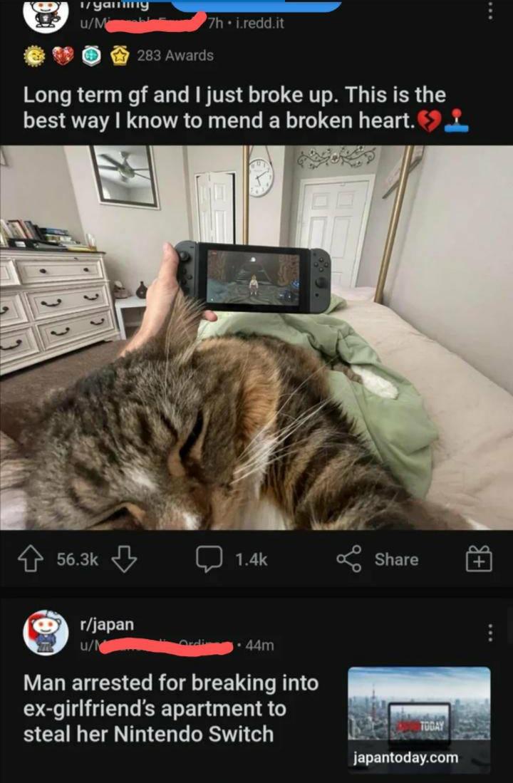 Gaming rule | Scrolller