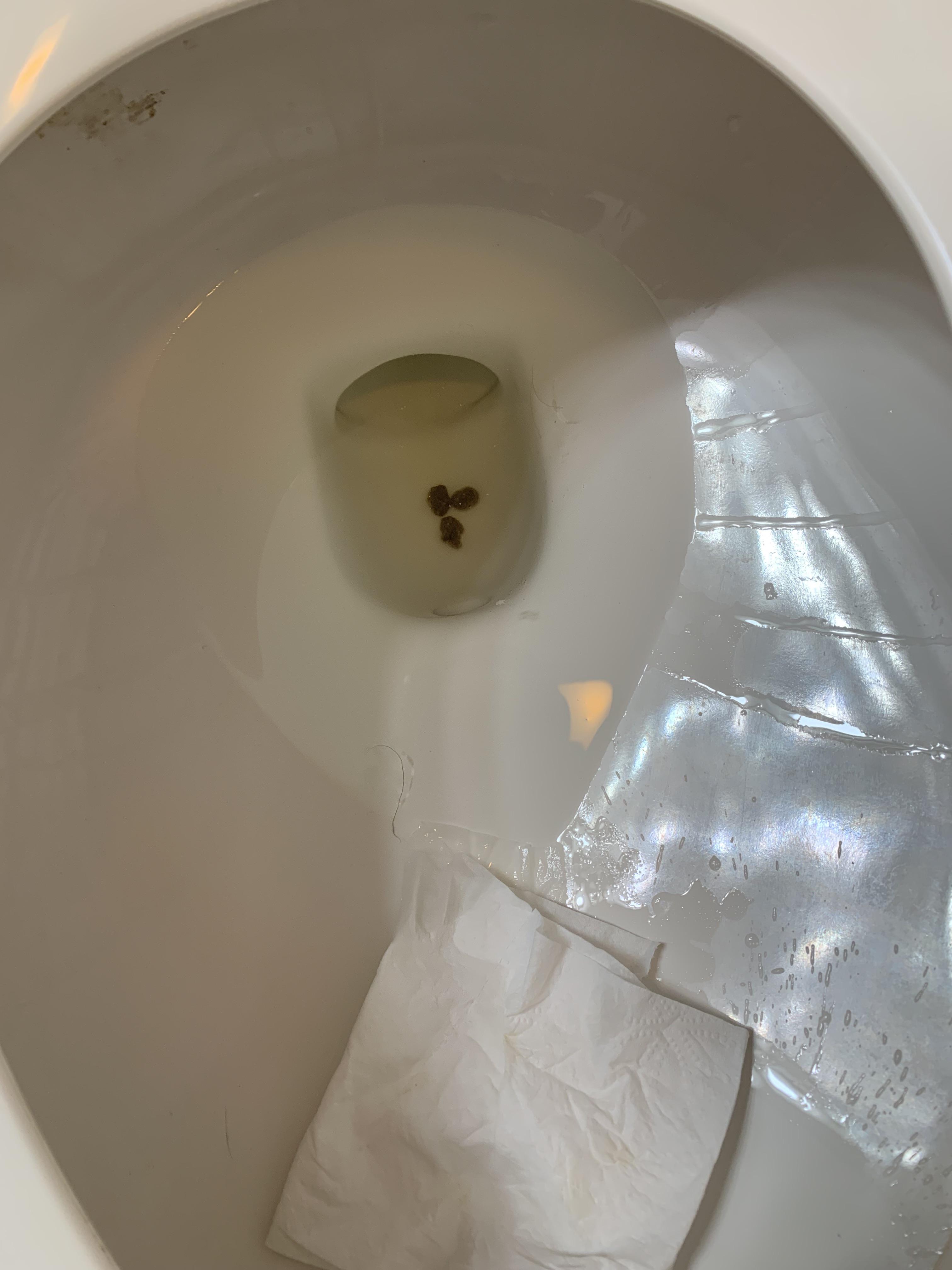 Gang shit | Scrolller