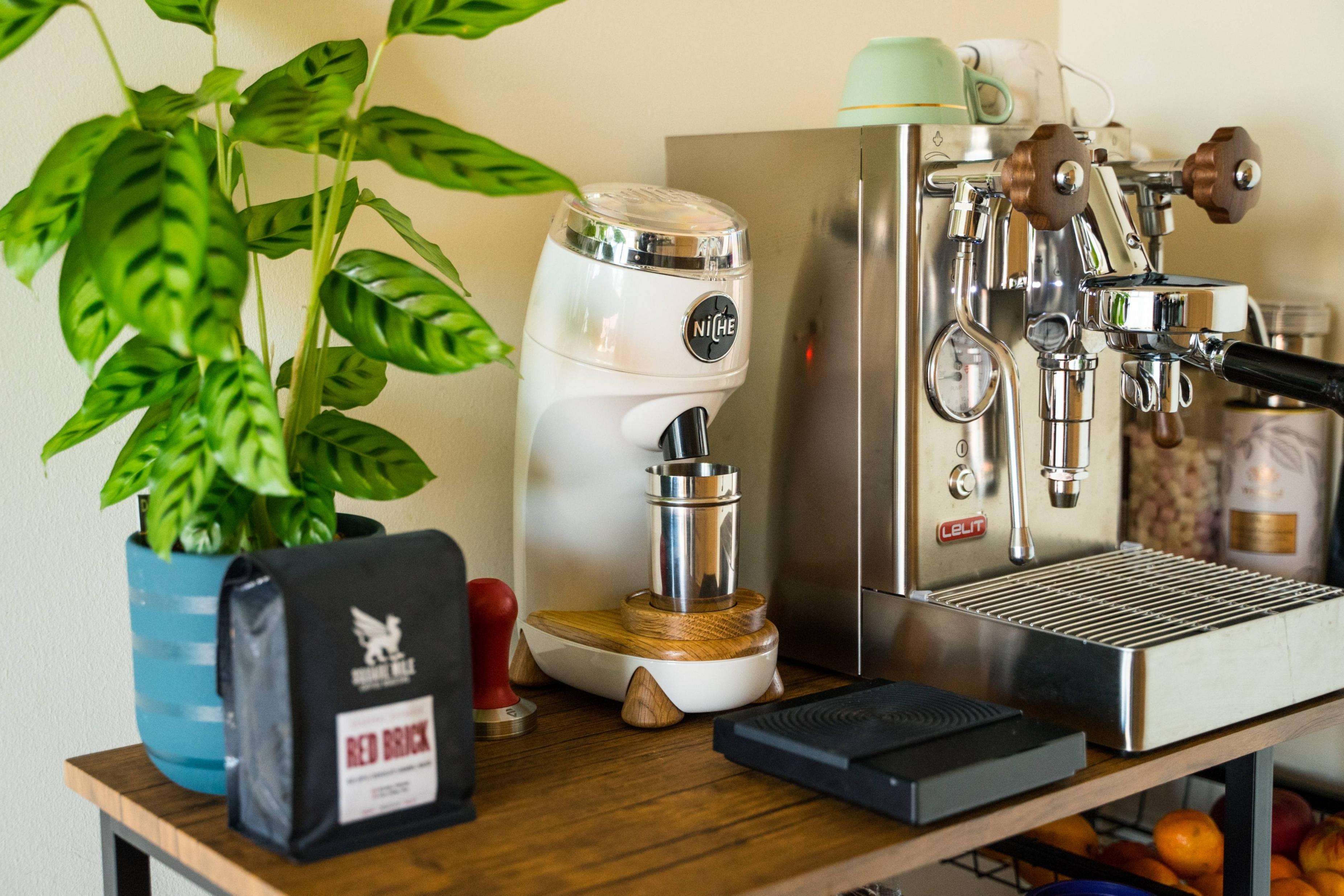 Gang's all here: new setup | Scrolller