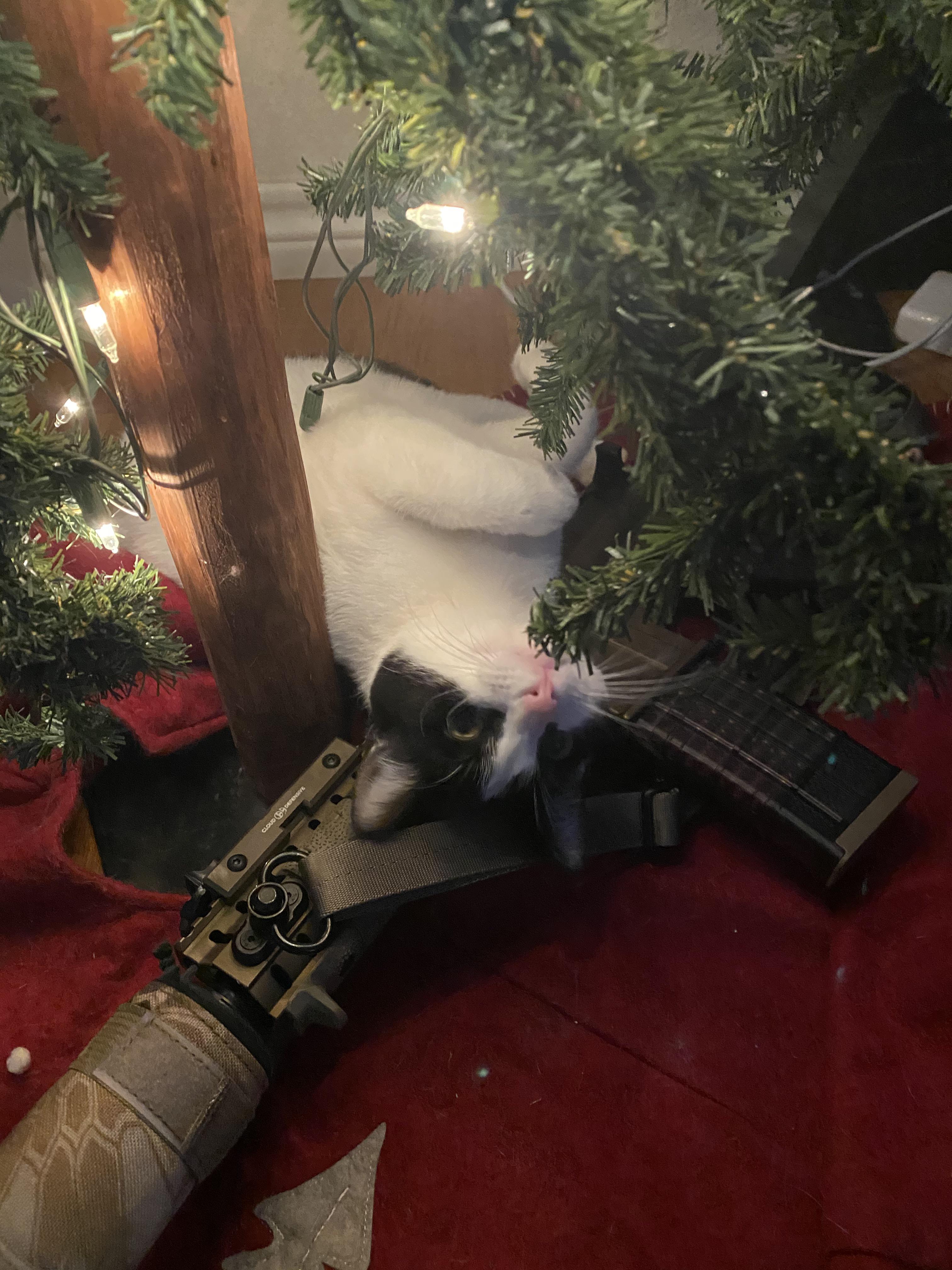 Gatcat Til singing oh silent night | Scrolller