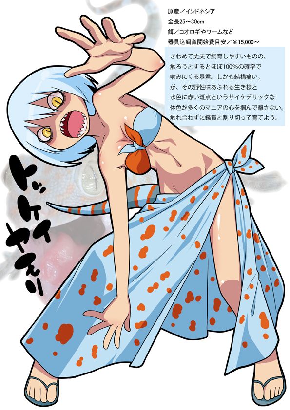 gecko girl in flip flops [original] | Scrolller