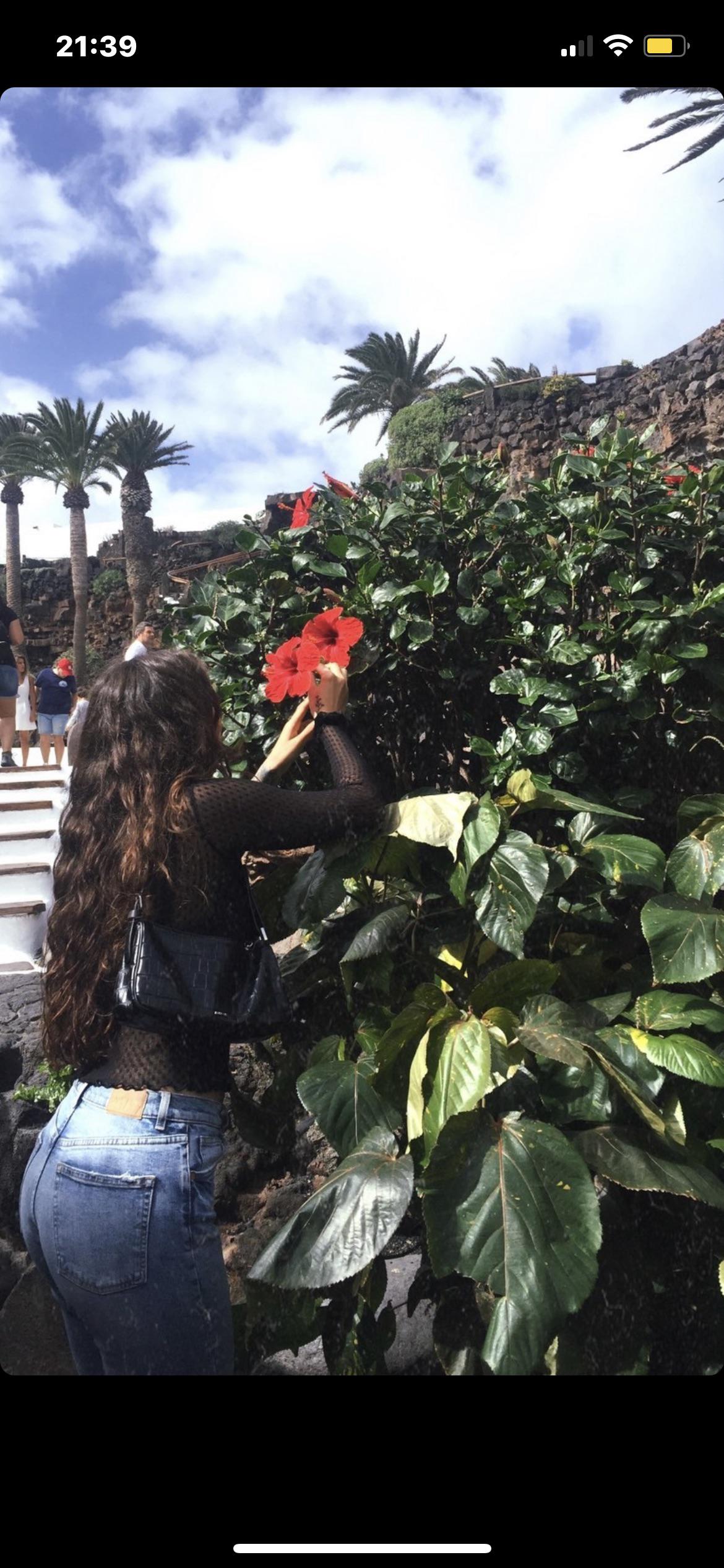 Geile Sau | Scrolller