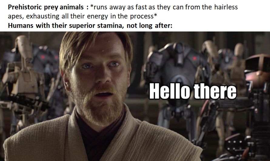 General kenobi, you are a hairless one | Scrolller