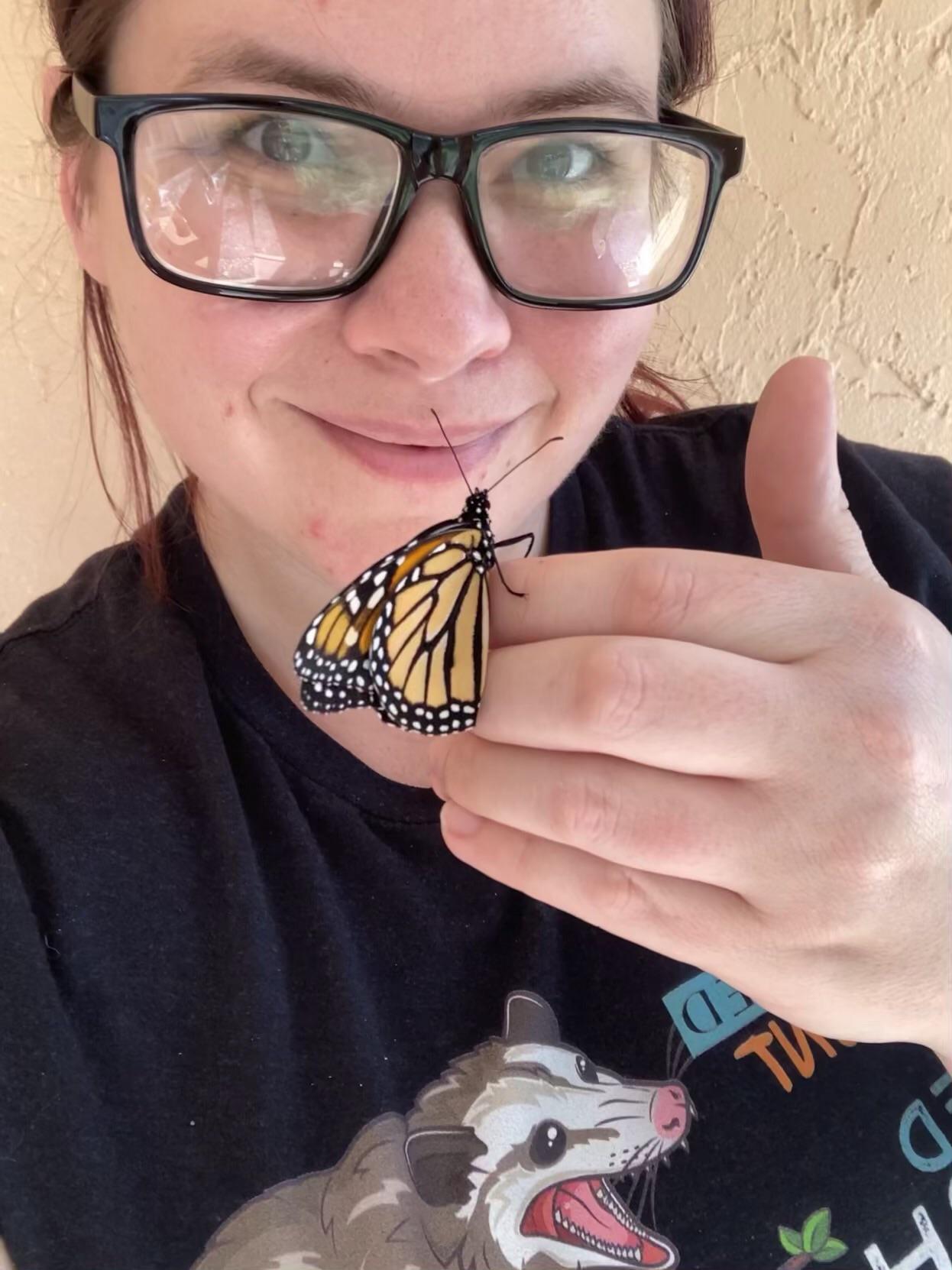 Genuinely thrilled with this sweet gentleman on my hand. A male monarch butterfly on a 31f hand ...