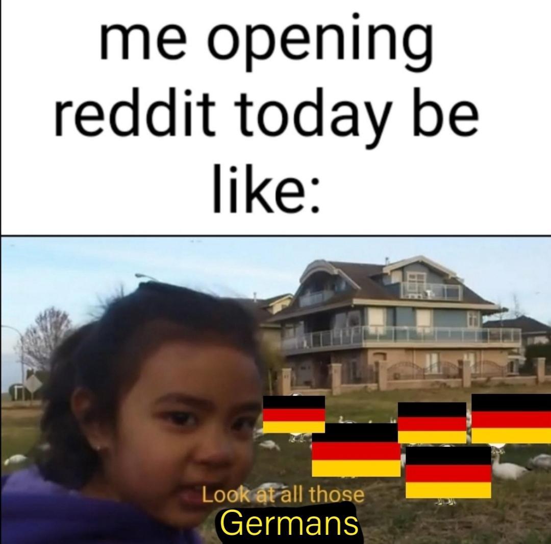 Germans everywhere | Scrolller