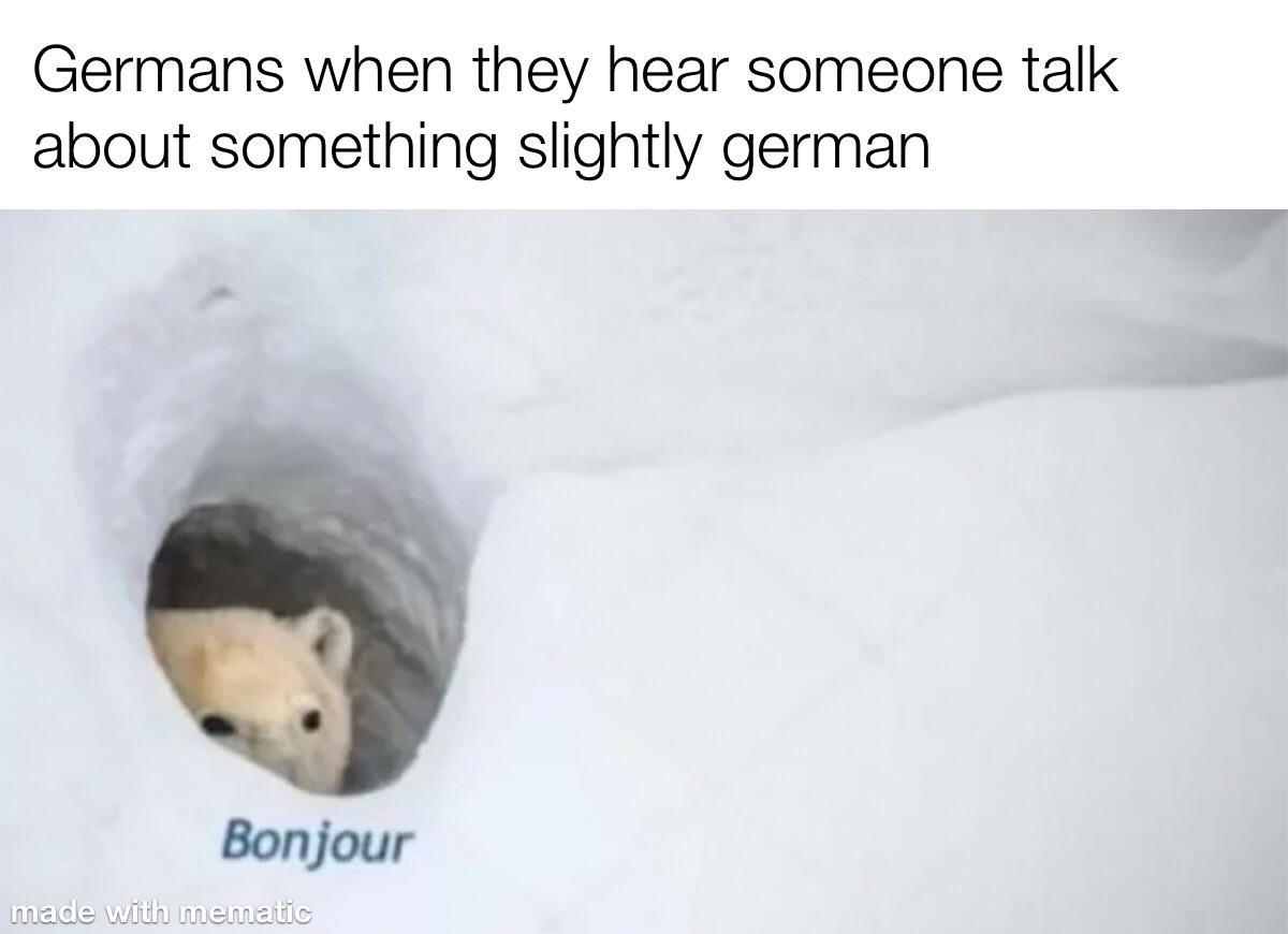 Germans in the comment section | Scrolller