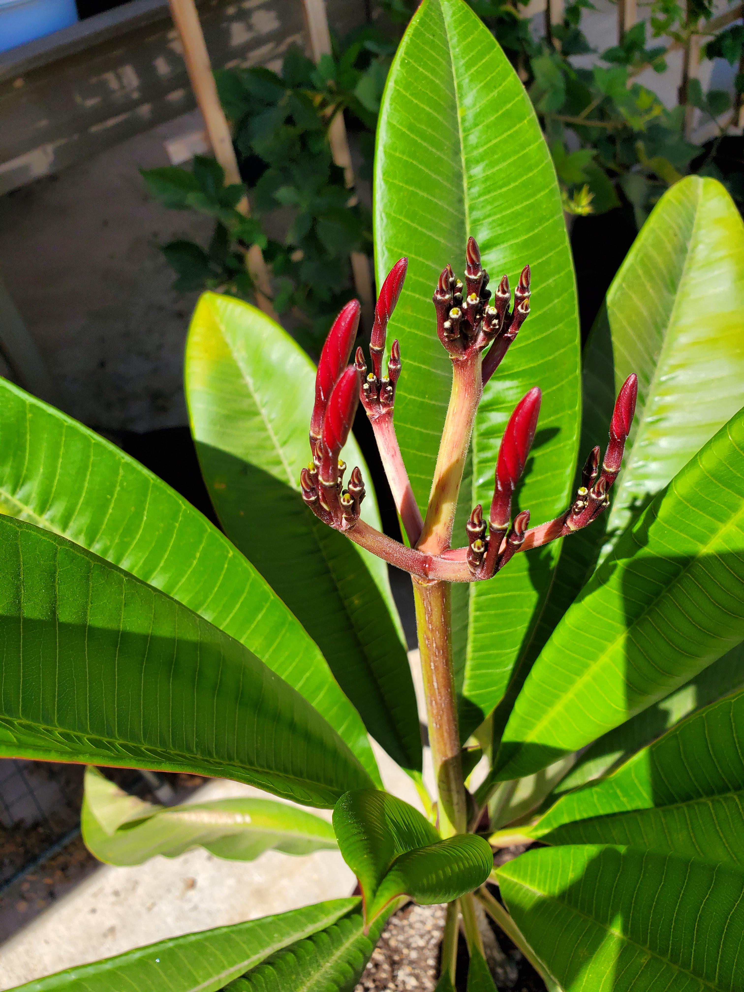 Getting close! | Scrolller