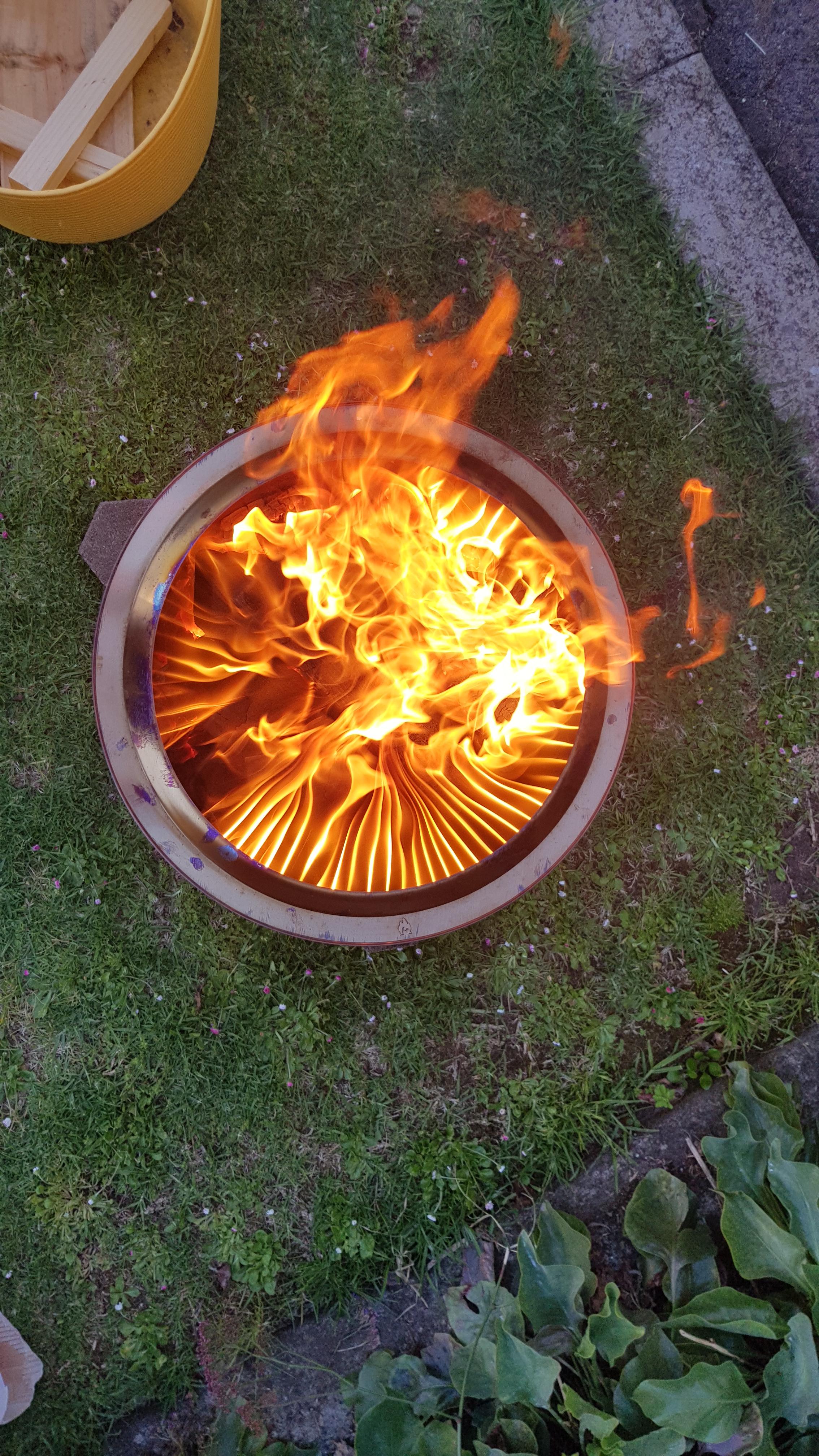 Getting it ready for tonight's All Blacks game | Scrolller