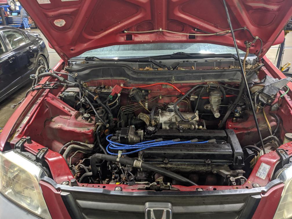 Getting there! Finishing the harness tonight then hunting some missing parts! | Scrolller