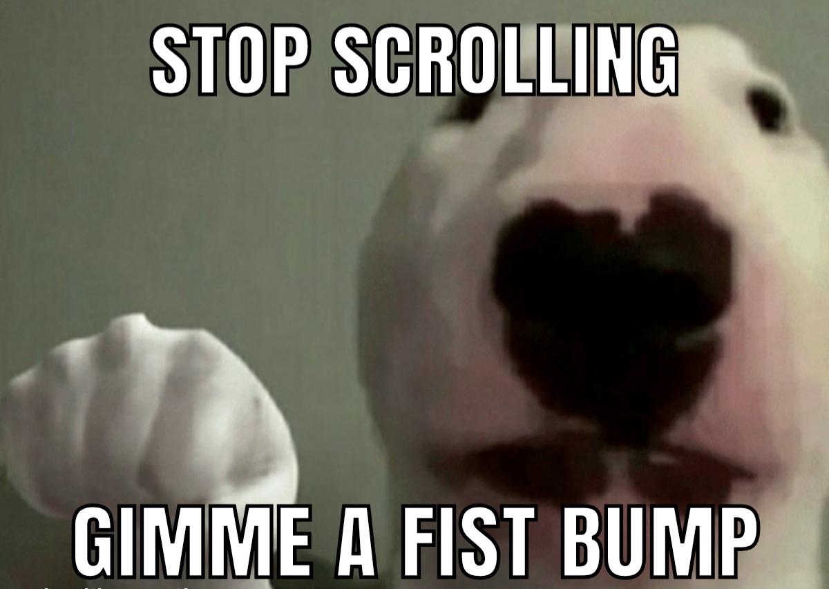 Gimme a fist bump | Scrolller