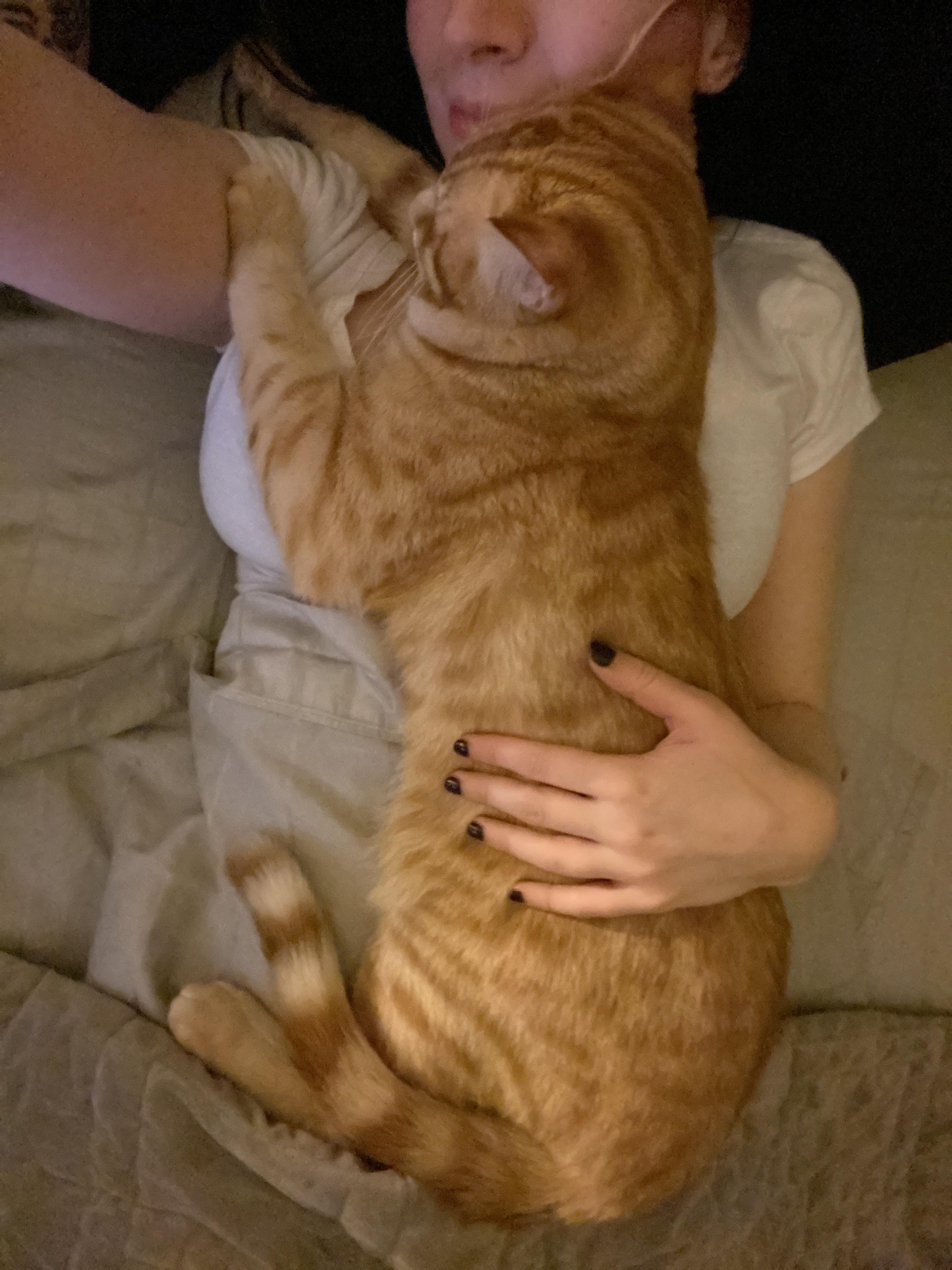 Ginger carpet, brunette drapes | Scrolller