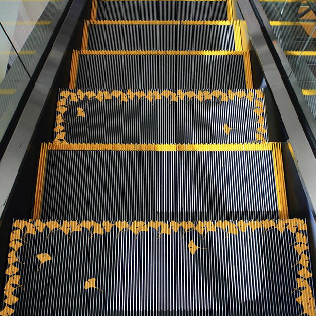 Ginkgo Escalator | Scrolller