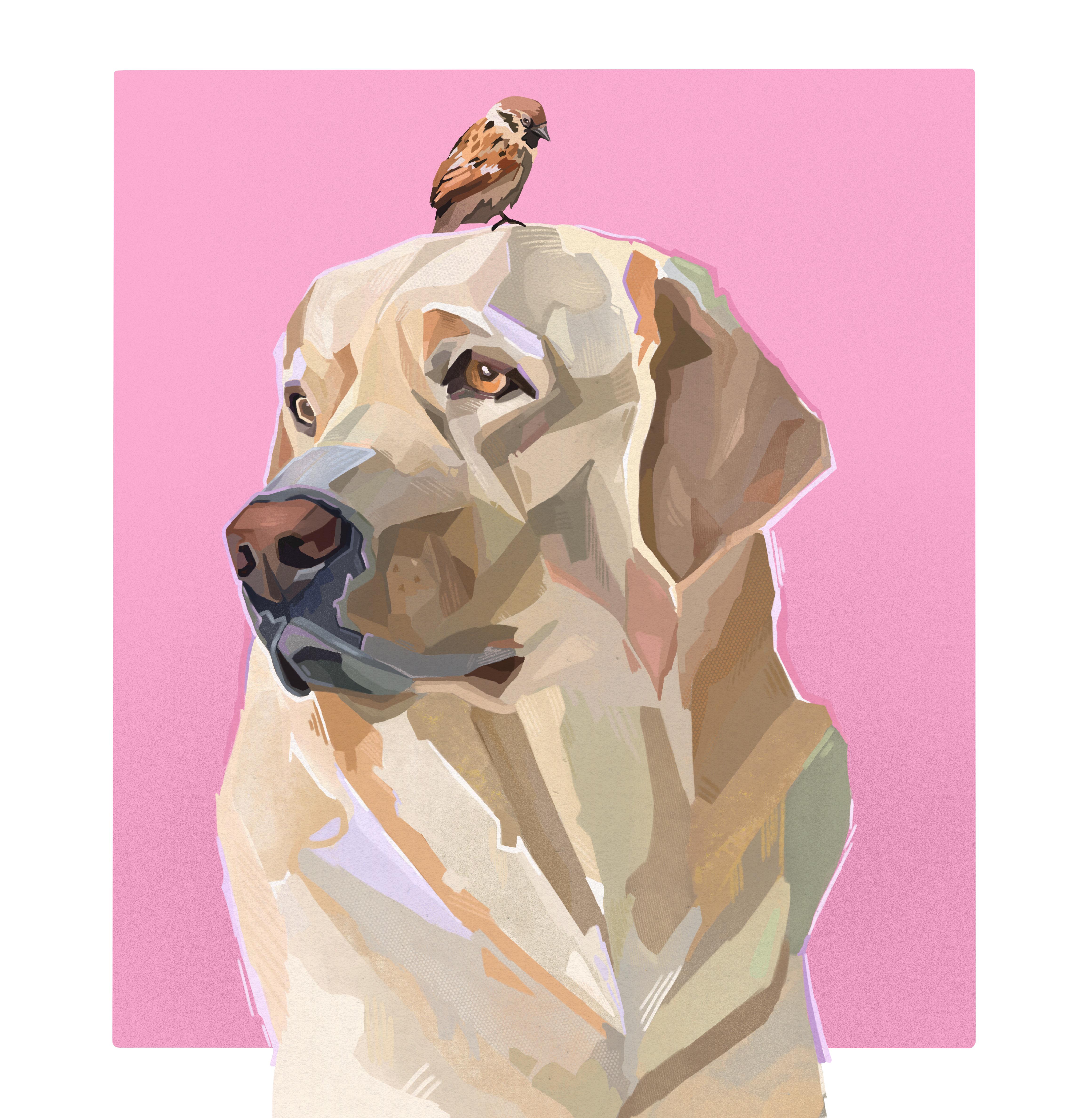 Give a paw, Me, digital, 2021 | Scrolller