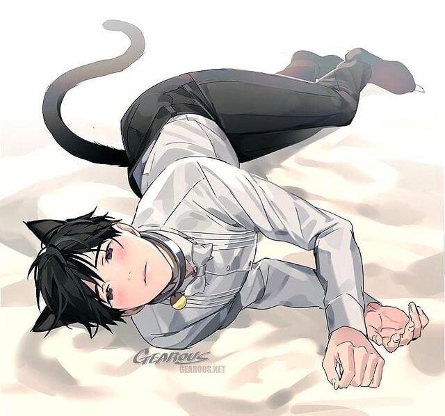 Give catboy | Scrolller