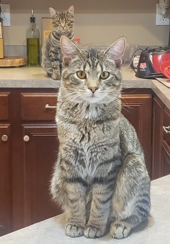 Glitch in the matrix | Scrolller