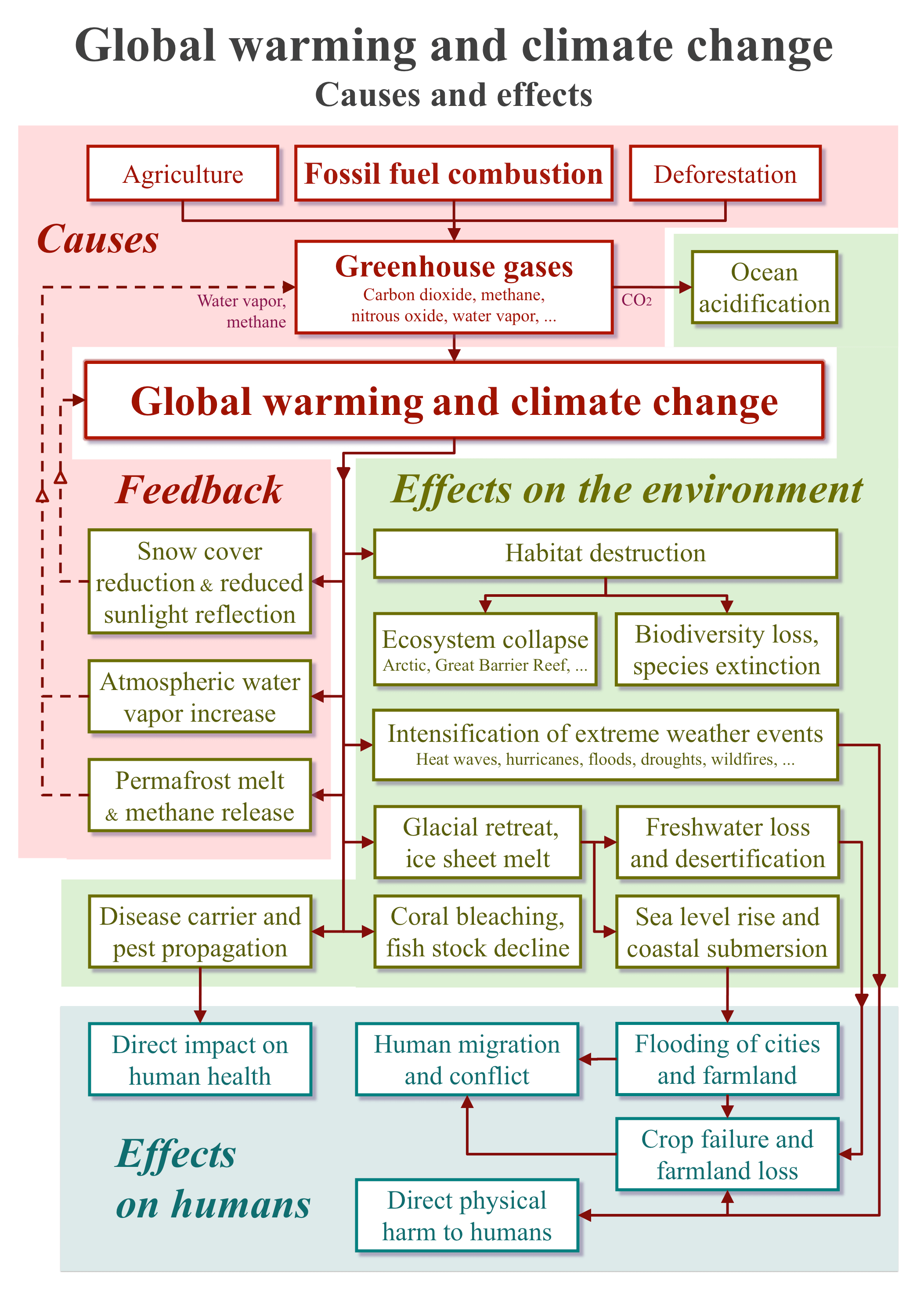 Global Warming and Climate Change Causes and Effects | Scrolller