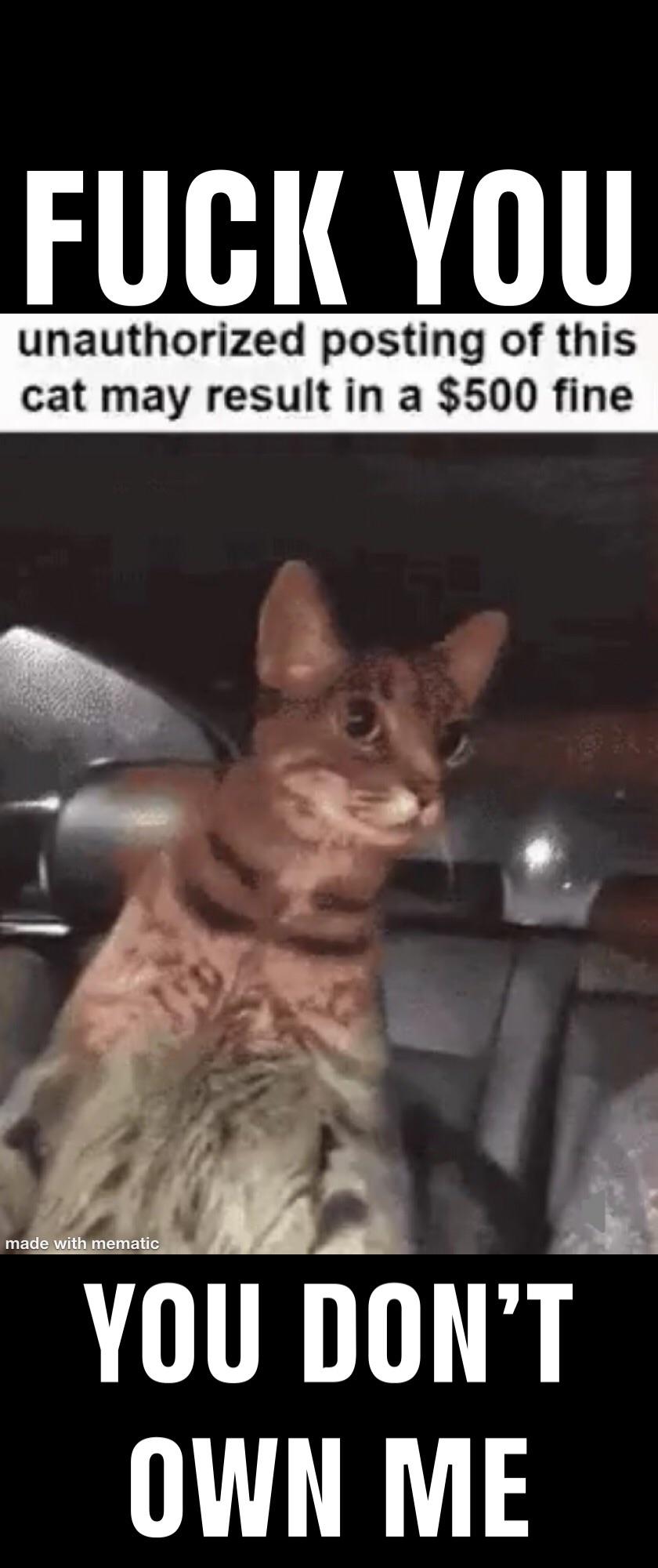 Go ahead, fine me. | Scrolller