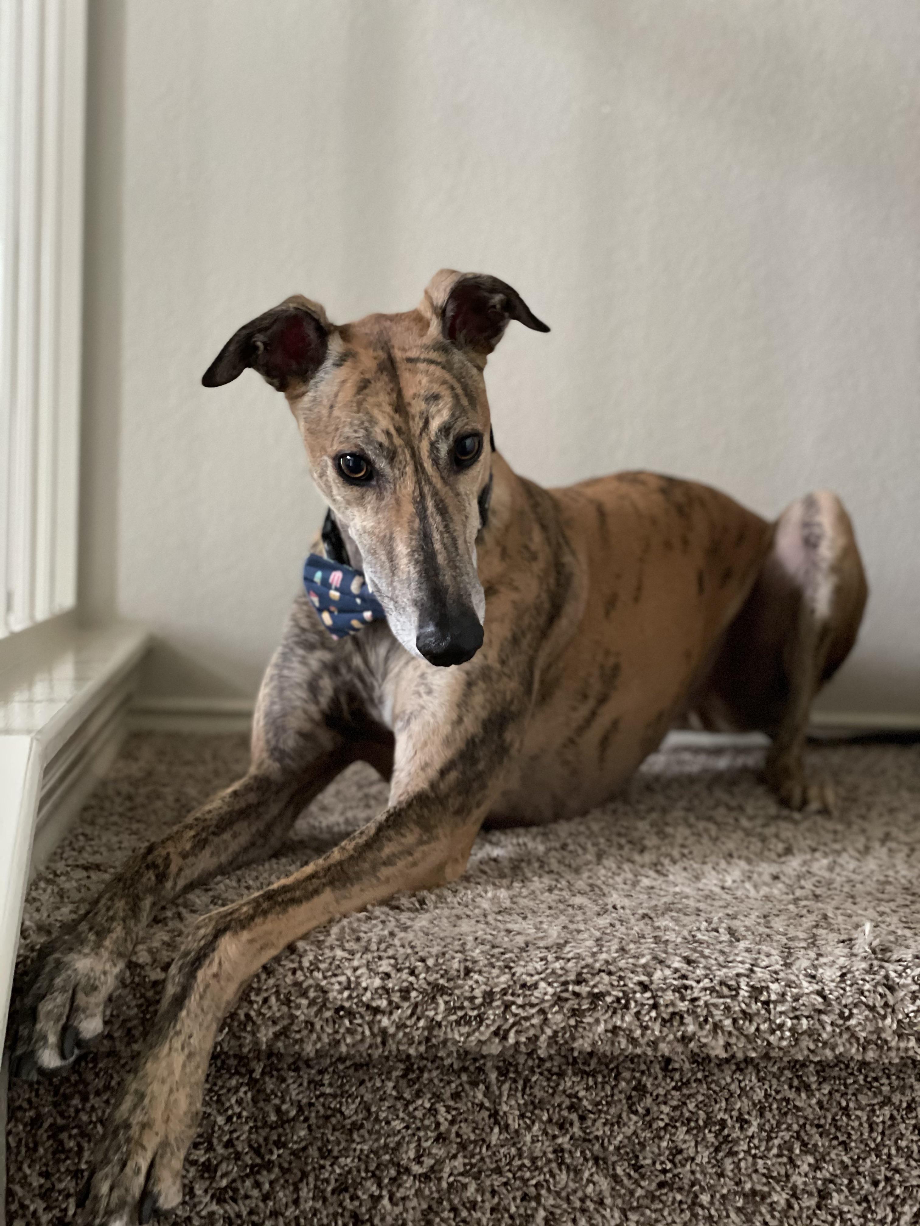 “Go outside??” | Scrolller