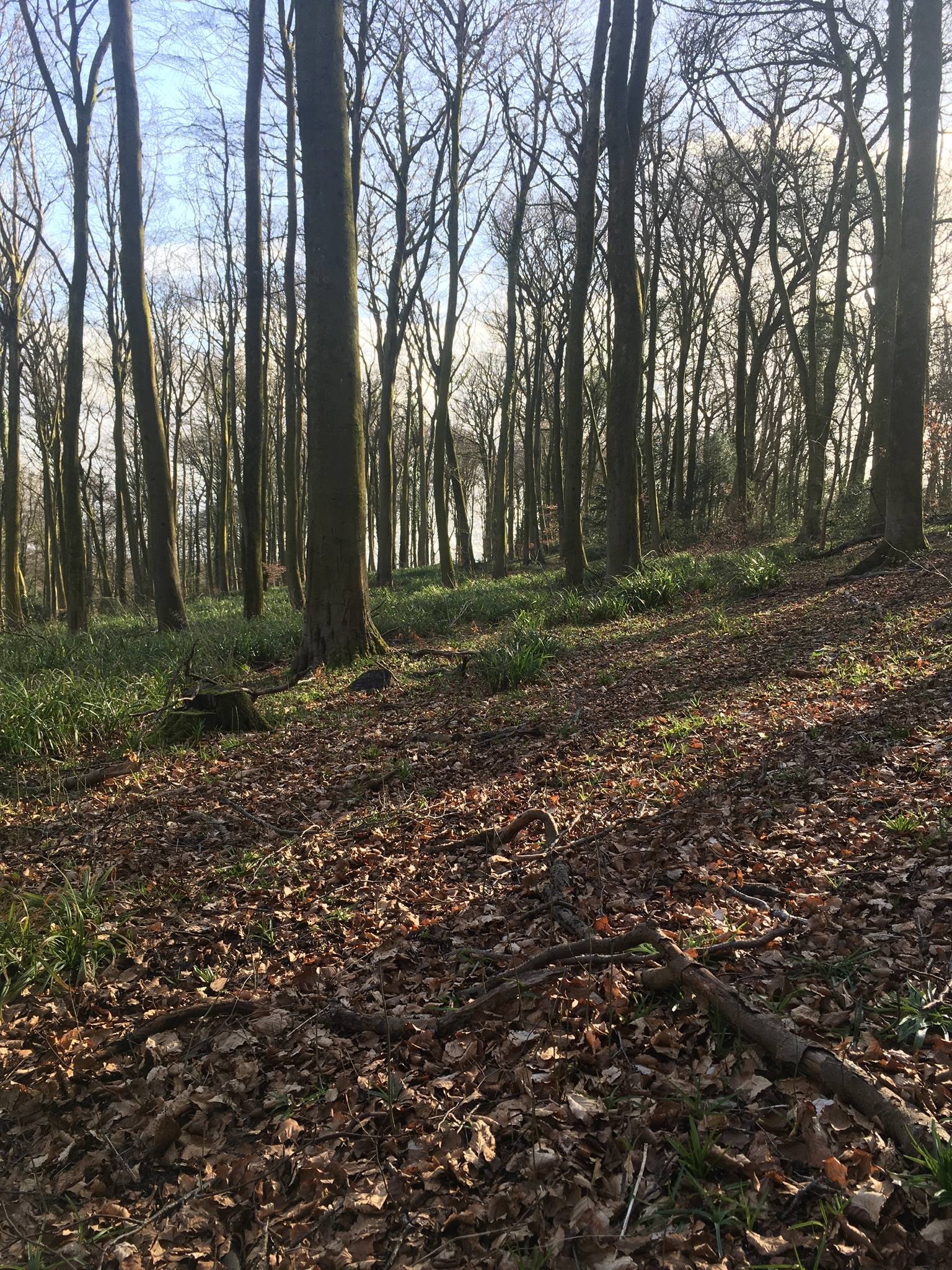 Going my own way with a beautiful hike | Scrolller