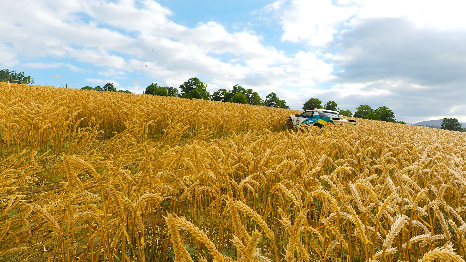 Golden Fields | Scrolller