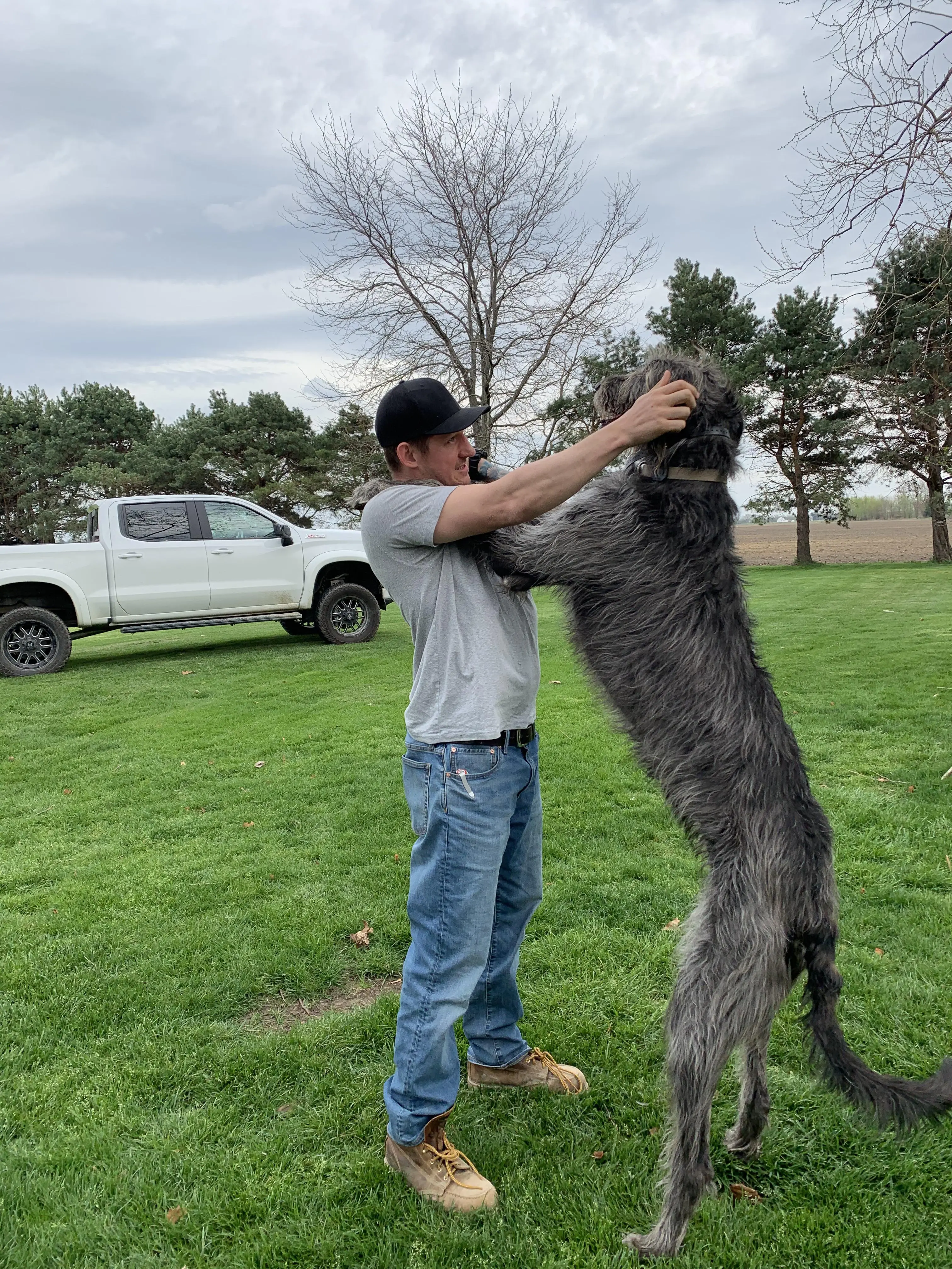 Good Boy Scrolller 4742