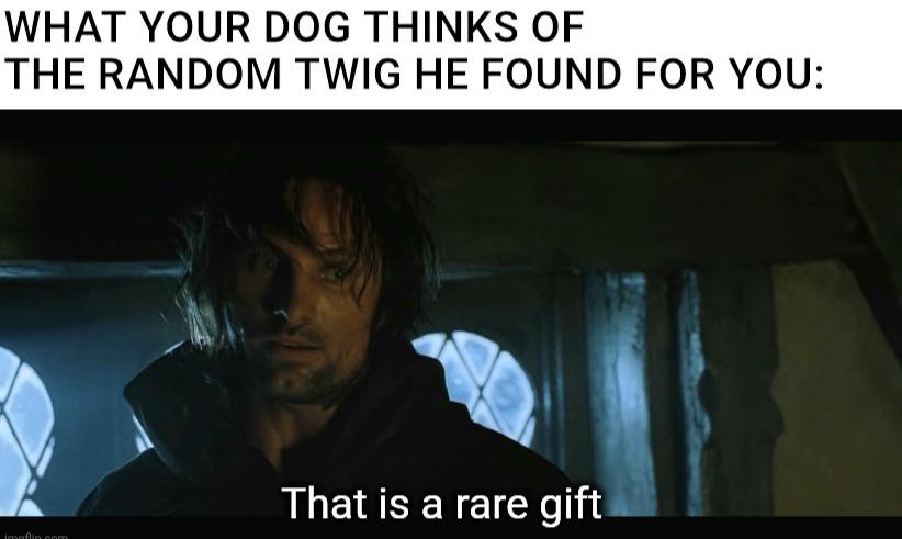 Good doggo | Scrolller