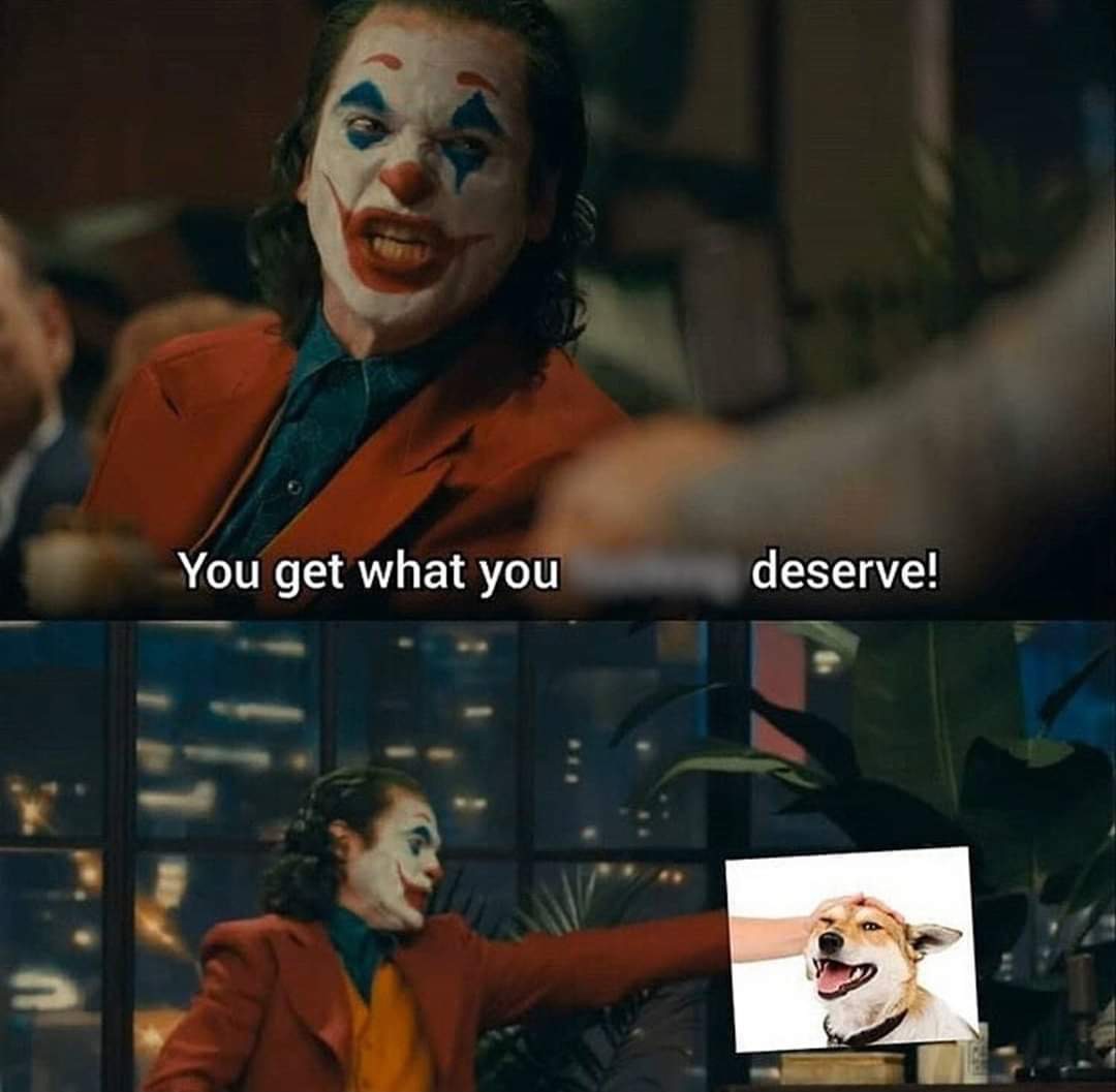 Good doggo | Scrolller