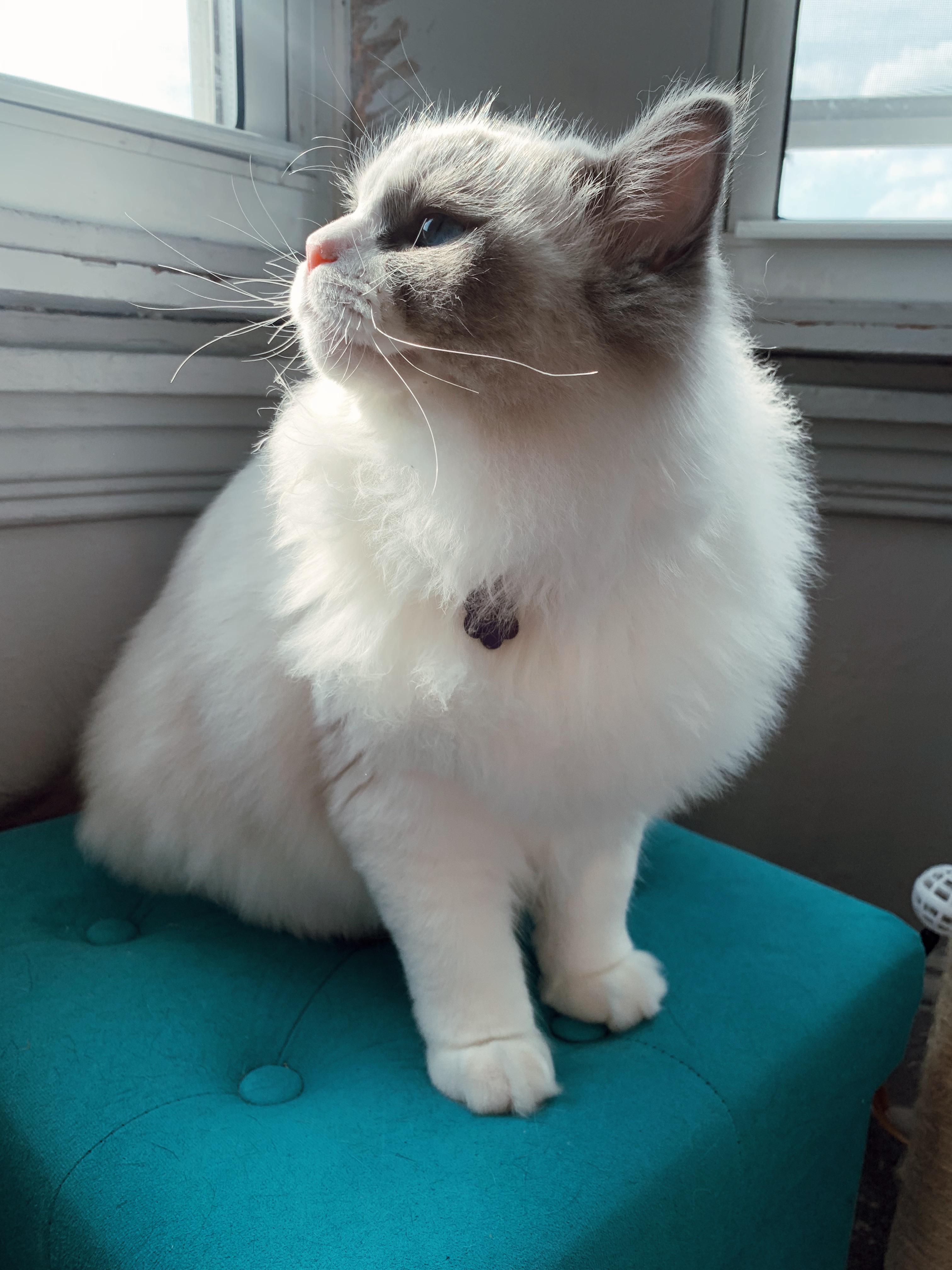 Good Evening! | Scrolller