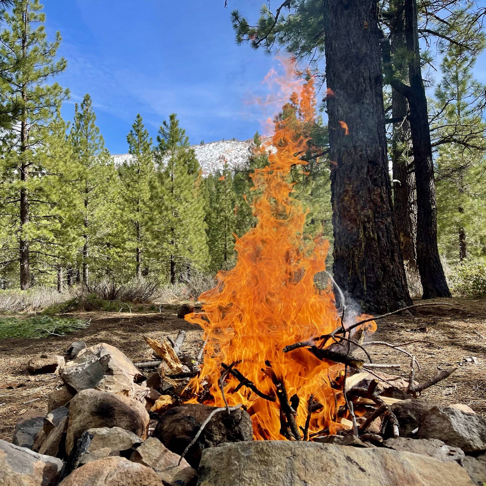 Good Evening :) | Scrolller