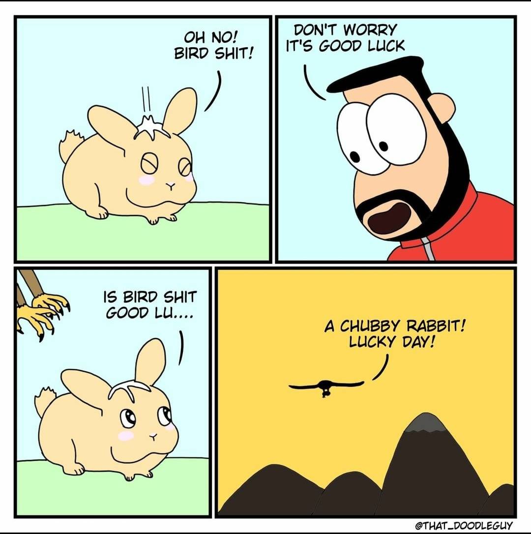 Good luck [OC] | Scrolller