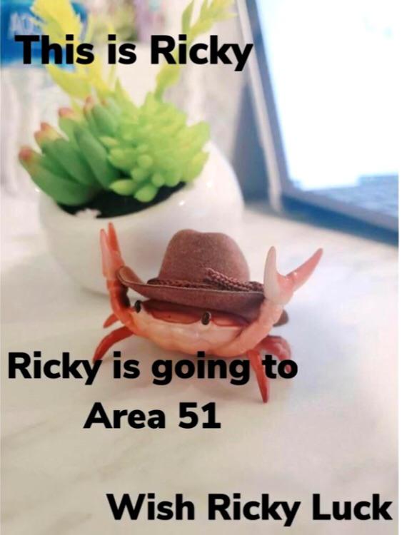 Good luck Ricky | Scrolller