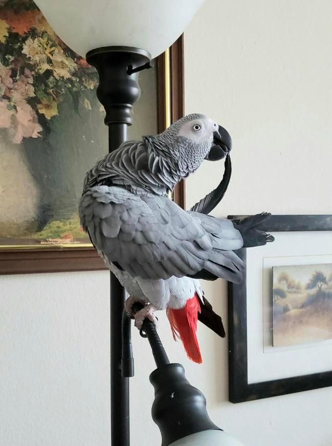 Good morning from Ashe the contortionist. | Scrolller