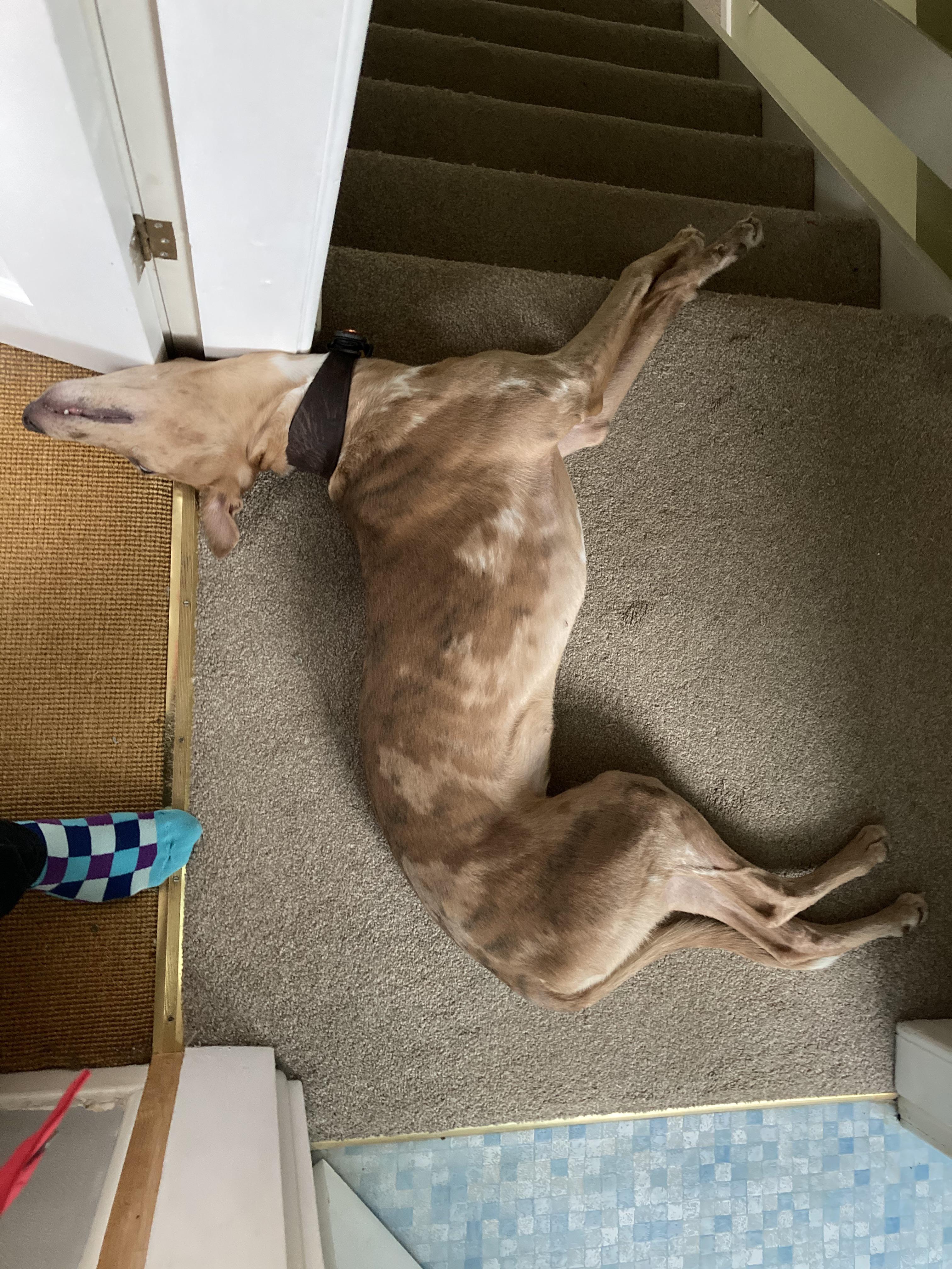 Good nap? | Scrolller