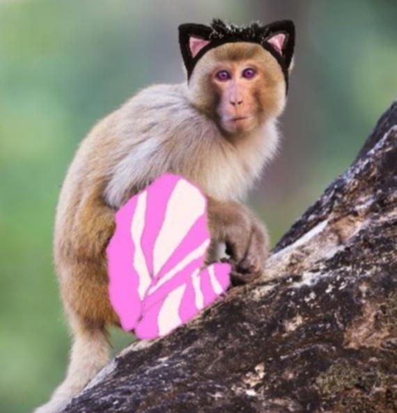 Good news guys I have returned to monke | Scrolller