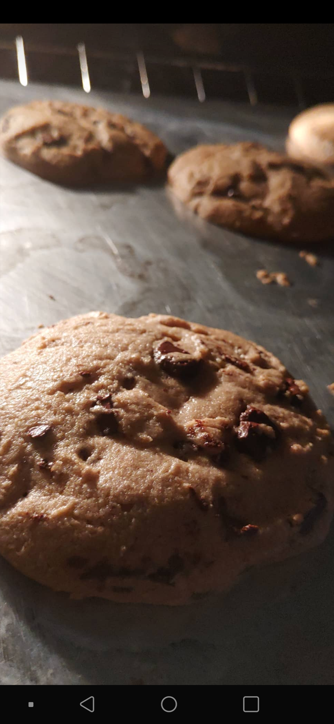 Good ol classic chocolate chip | Scrolller