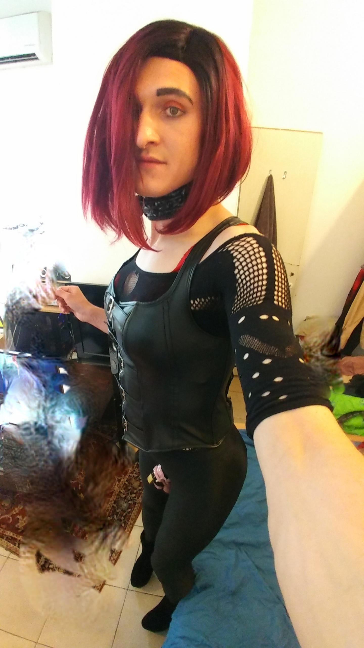 Good week 🐱 | Scrolller