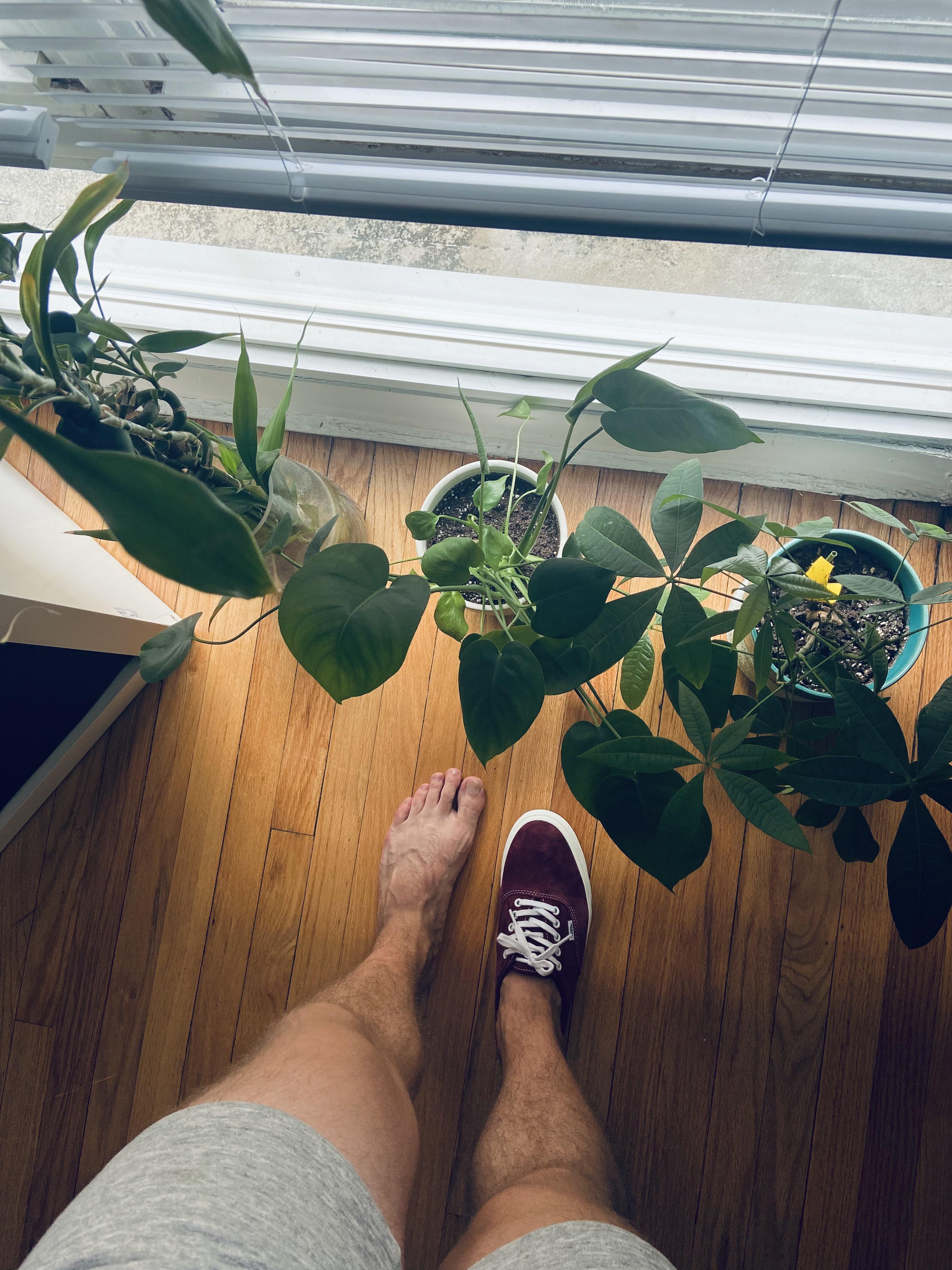 Goodbye Summer | Scrolller