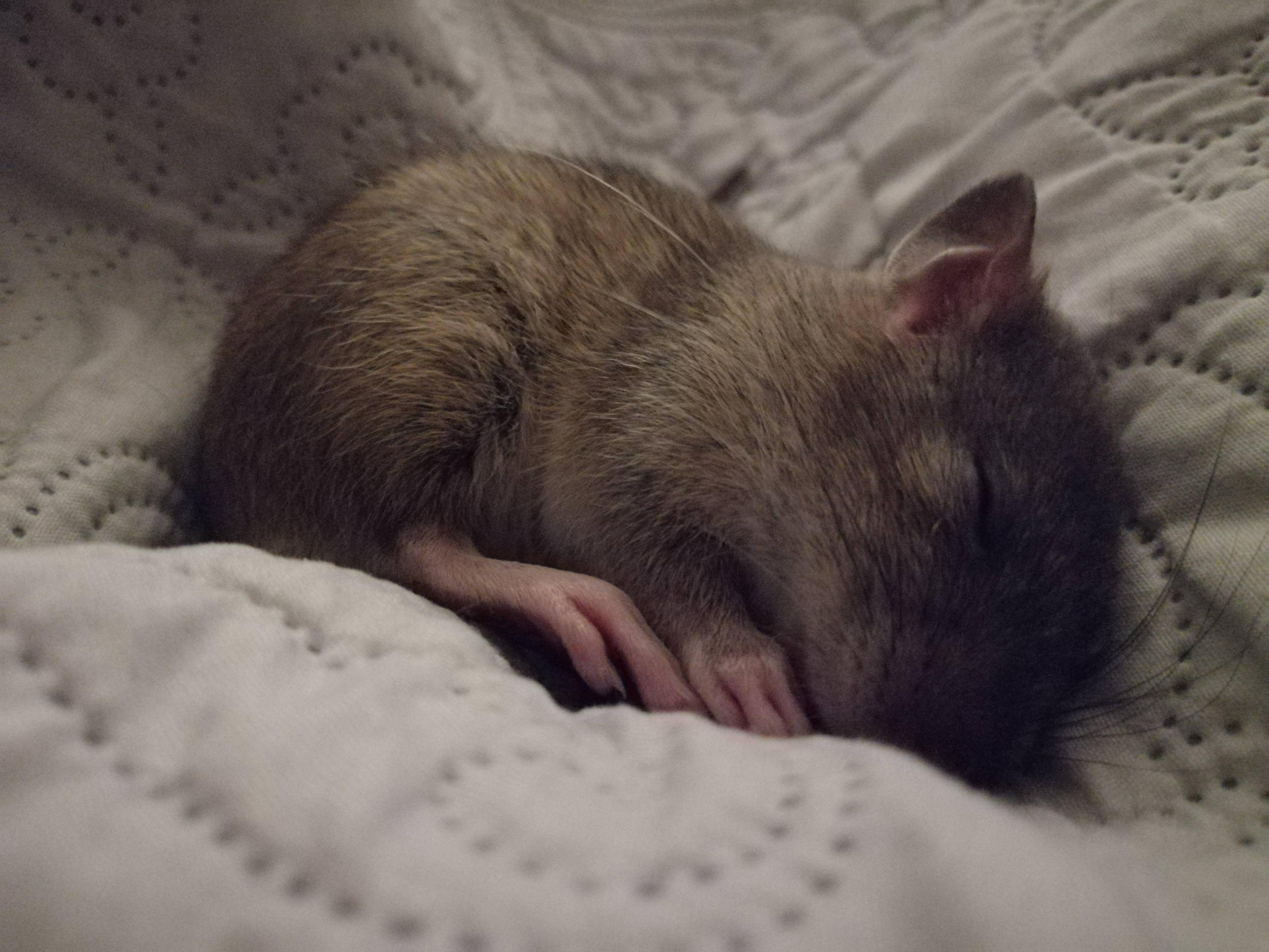 Goodnight baby! | Scrolller