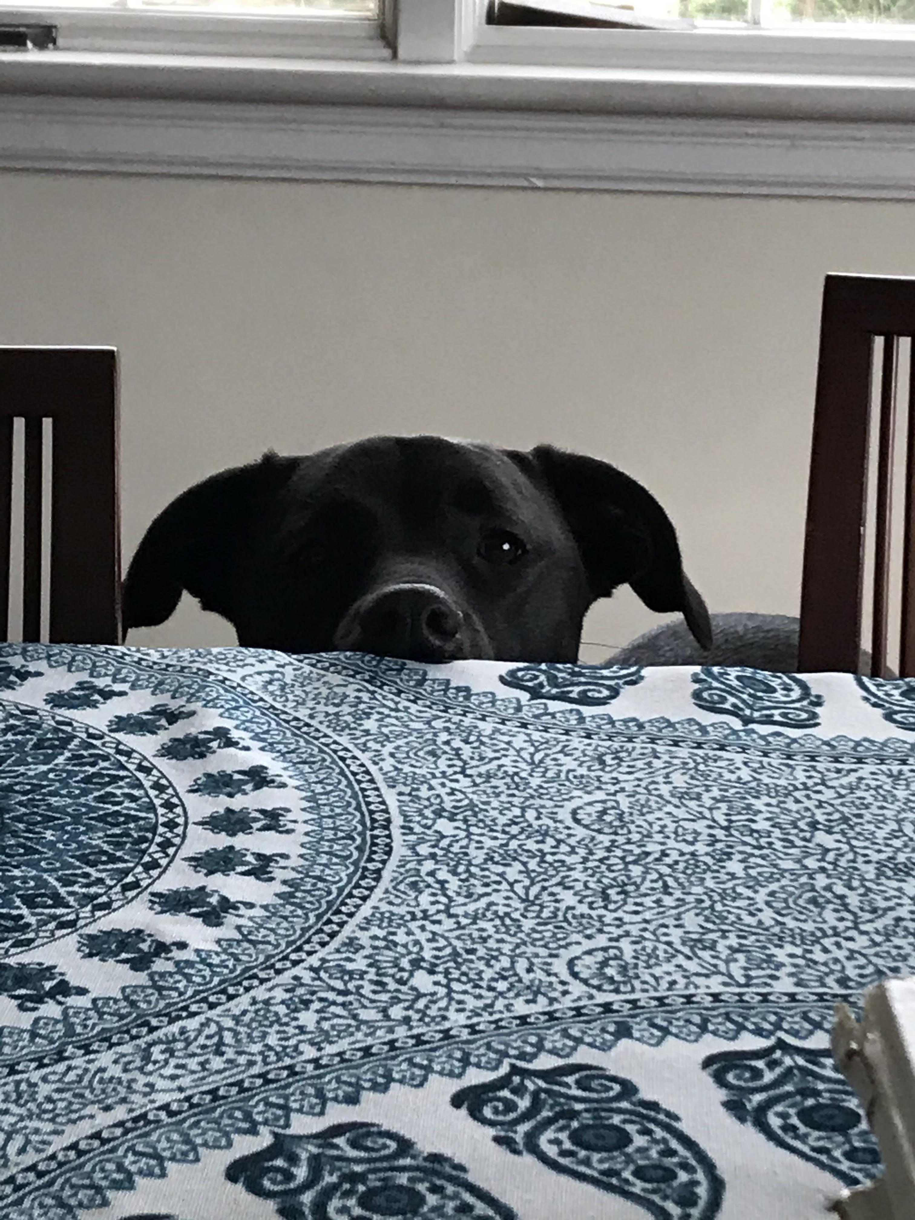 Goofball | Scrolller