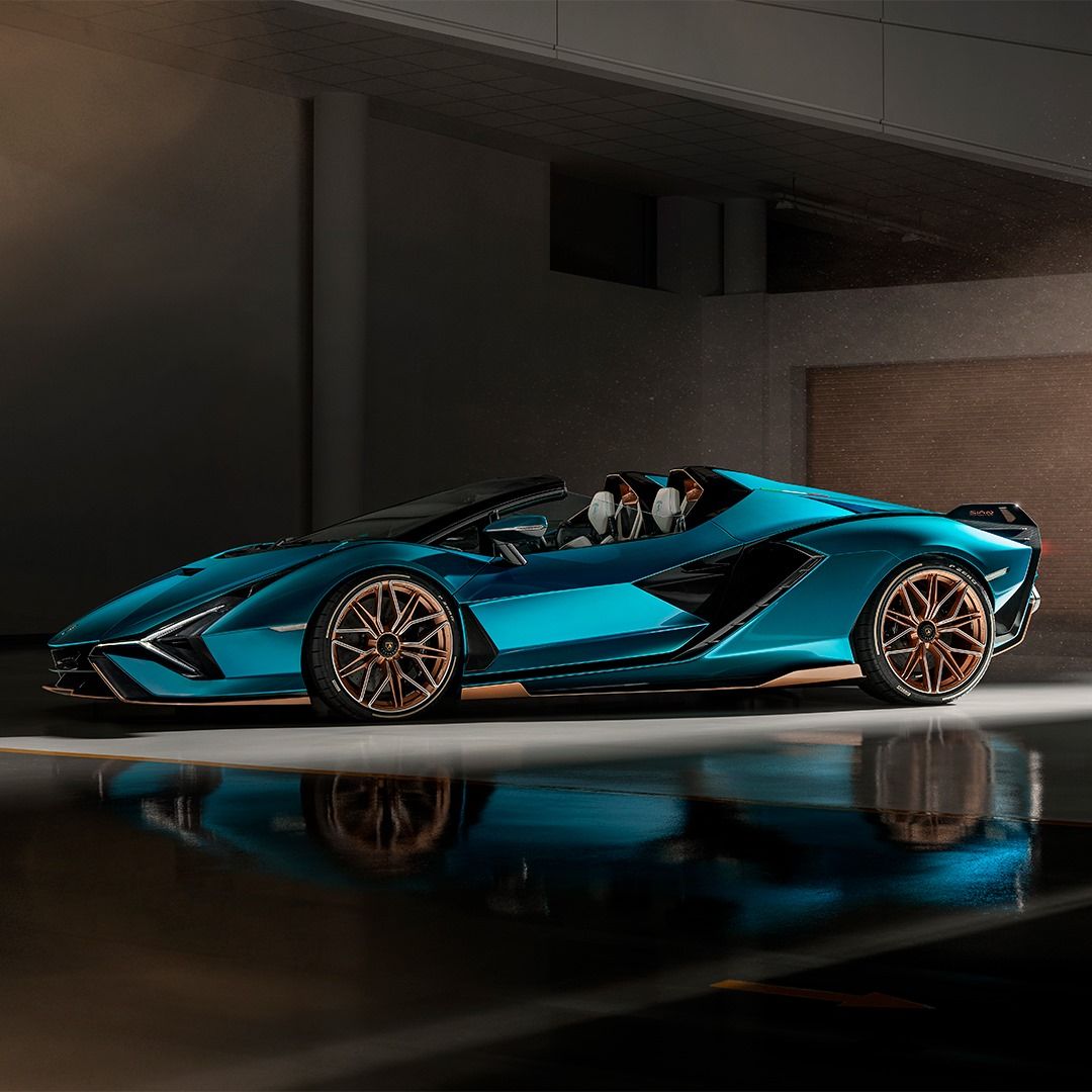 Gorgeous Bull | Scrolller