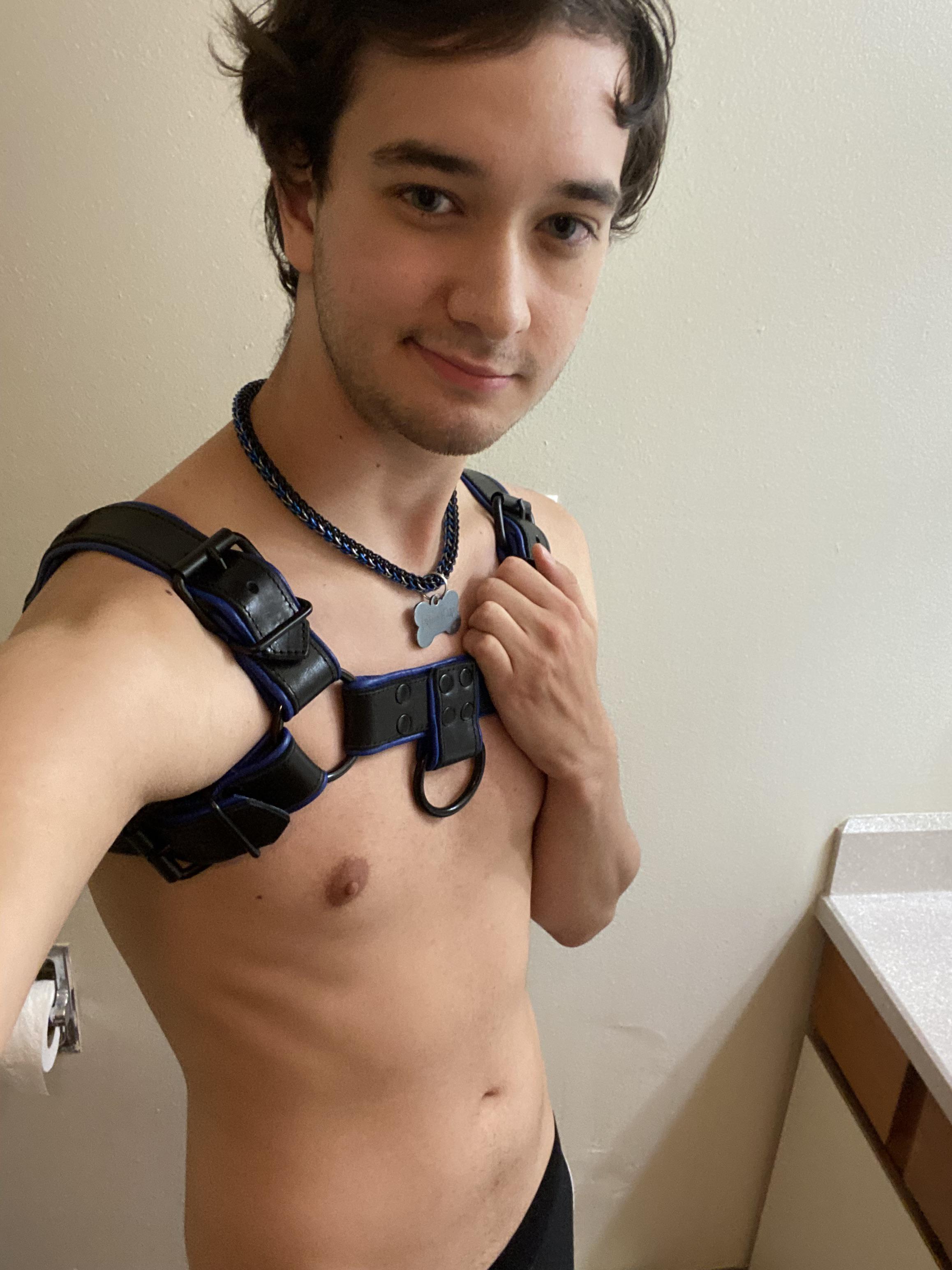 Got my new harness today! | Scrolller