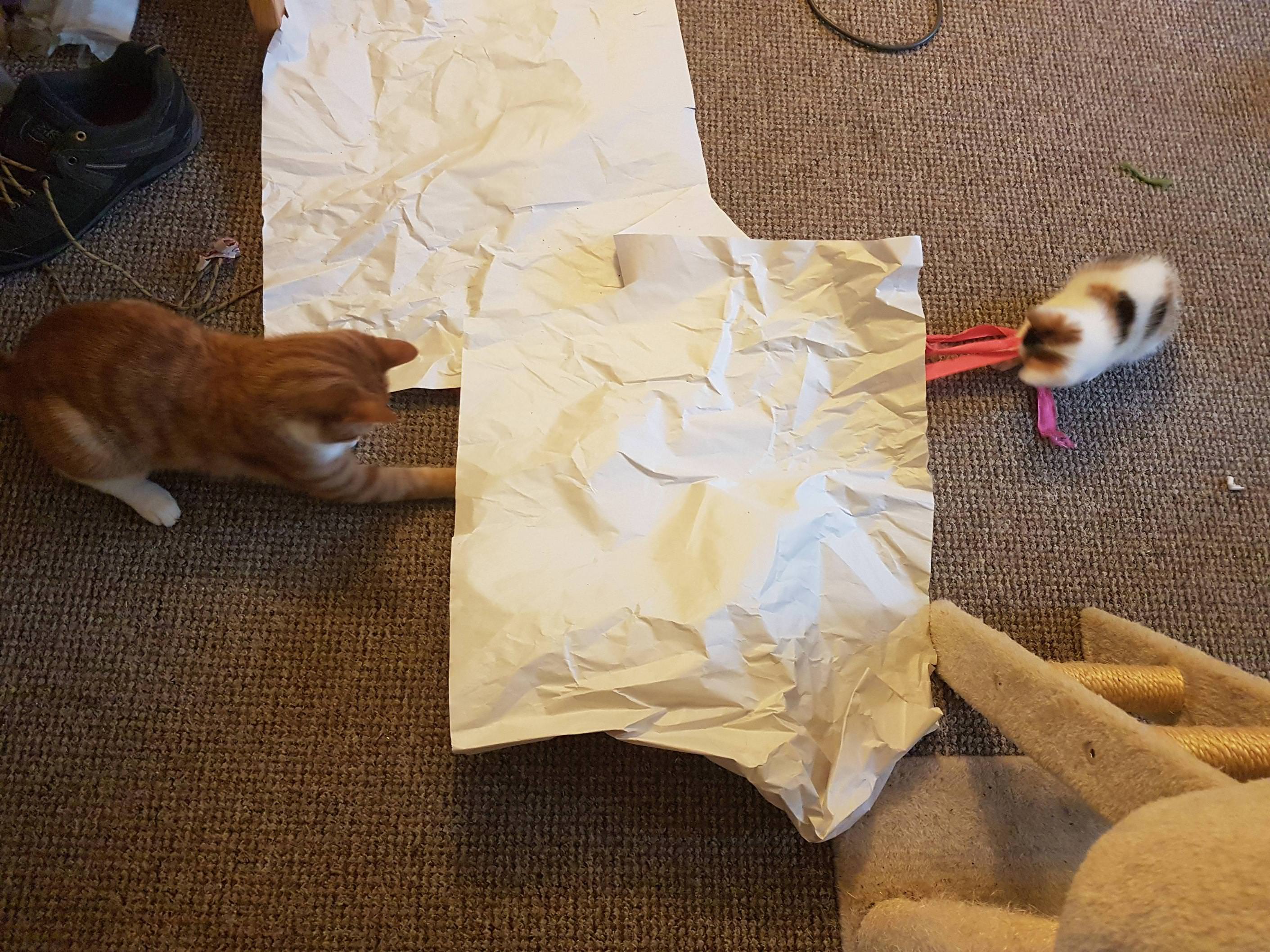 Got them to play tug-of-war without realising it. | Scrolller